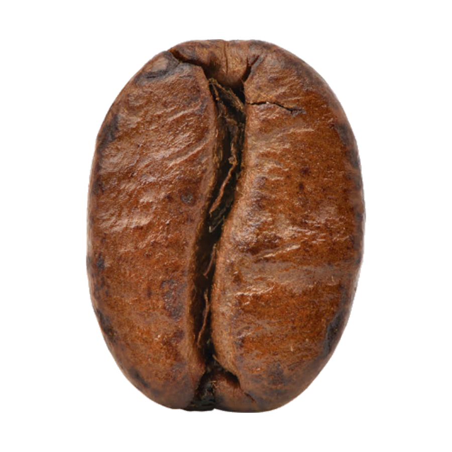 LAAM Moka Arabica beans